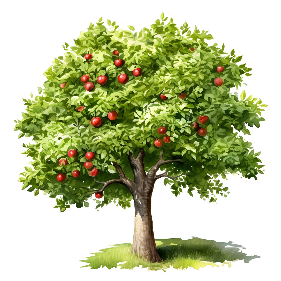 Apple Tree Clipart, Tree in Orchard Images, 10 Watercolor Clip Art ...