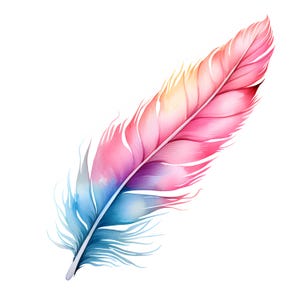 Watercolor Rainbow Feather Clipart: Bird Feather Images (jpgs) - Etsy