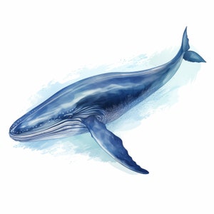 Whale Clipart, Blue Whale Images, 10 Watercolor Clip Art, Printable ...