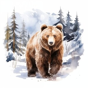 13 Brown Bear, Bear in Winter Clipart, Watercolor Clipart, High Quality ...