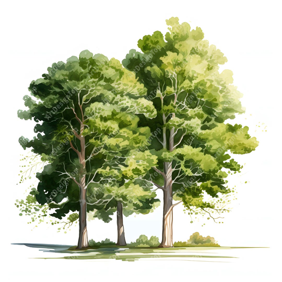 Scandinavian Trees Clipart, Christmas Trees Images, 10 Watercolor Clip ...