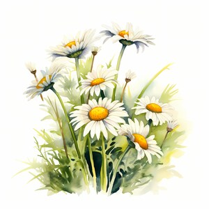 Watercolor Daisy Clipart: Floral Bouquet Images (JPG, Commercial Use ...