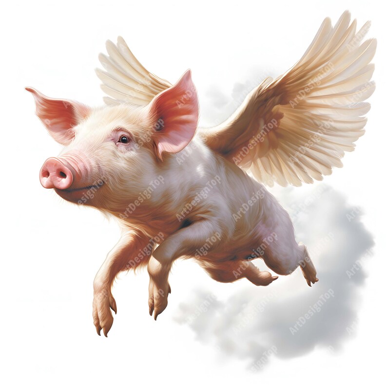 Flying Pig Watercolor Clipart: Angel Pig With Wings (jpgs, Commercial ...