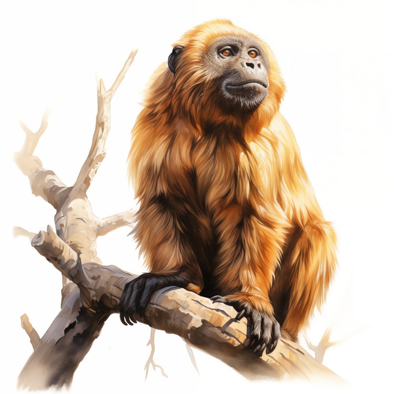 Howler Monkey Clipart, Rainforest Primates Images, 10 Watercolor Clip ...