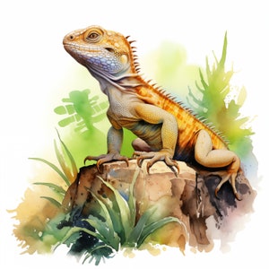 Lizard Clipart, Reptiles Images, 10 Watercolor Clip Art, Printable Jpgs ...