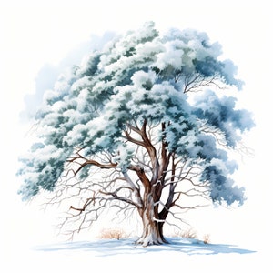 Frozen Tree Clipart, Winter Tree Images, 10 Watercolor Clip Art ...