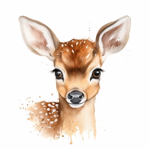 Fawn Baby Clipart, Baby Deer Images, 12 Watercolor Clip Art, Printable ...