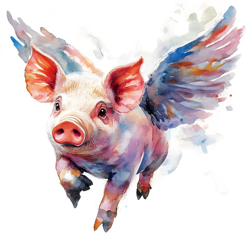 Angel Pig - Etsy