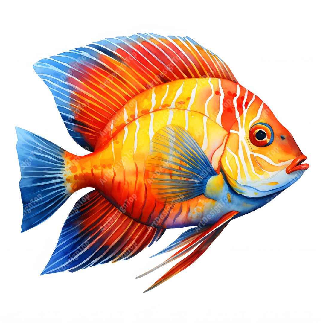 Aquarium Fish Clipart, Tropical Fish Images, 10 Watercolor Clip Art ...