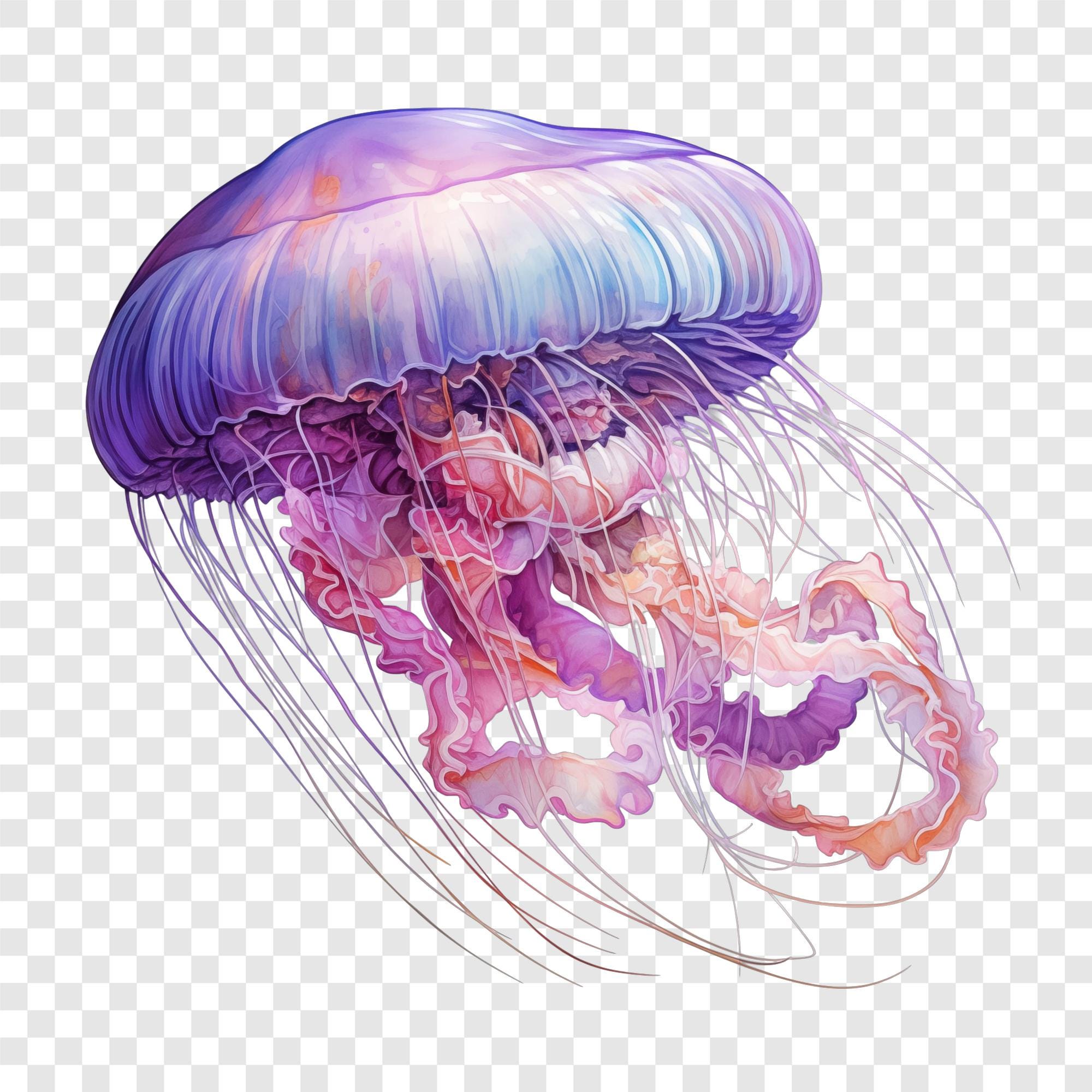 10 PNG Jellyfish Clipart, Ocean Sea Creature Images, Watercolor Clip ...