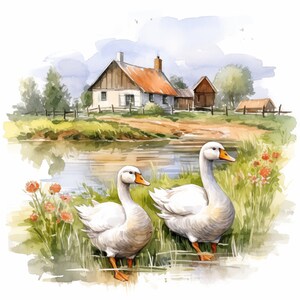 Geese Clipart, Farm Goose Images, 12 Watercolor Clip Art, Printable ...