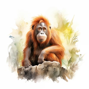 Orangutan Clipart, Monkey Images, 10 Watercolor Clip Art, Printable ...