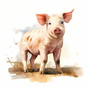 Farm Pig Clipart, Farmyard Pig Images, 10 Watercolor Clip Art ...