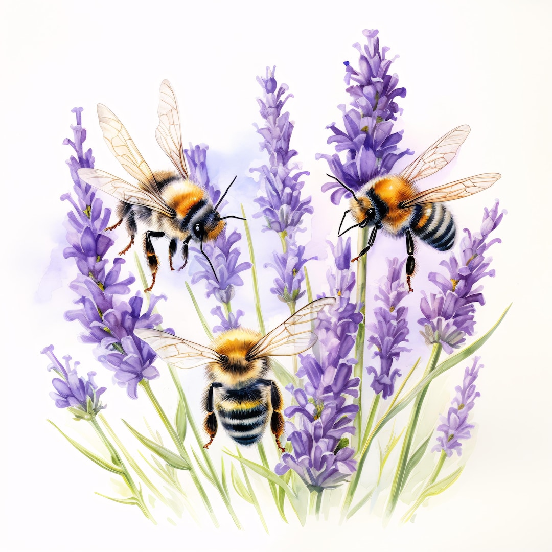 Lavender Bees Clipart, Floral Honeybee Images, 10 Watercolor Clip Art ...