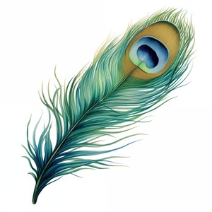 Feather Clipart, Peacock Feather Images, 10 Watercolor Clip Art ...