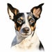 Rat Terrier Clipart, Rat Terrier Dog Images, 10 Watercolor Clip Art ...
