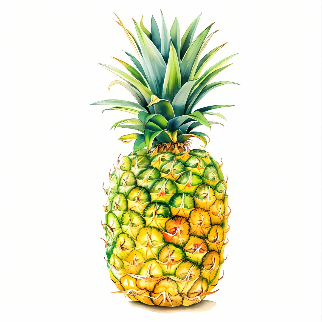 Pineapple Clipart, Pineapples Images, 10 Watercolor Clip Art, Printable ...