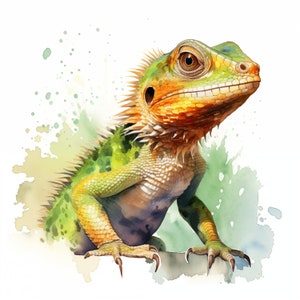 Lizard Clipart, Reptiles Images, 10 Watercolor Clip Art, Printable Jpgs ...