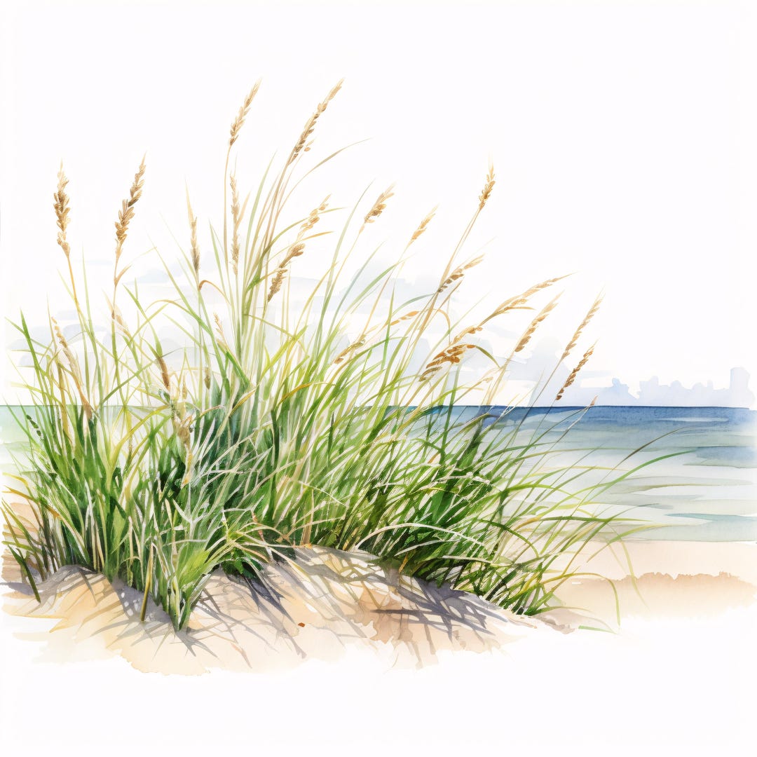 Watercolor Beach Grass Clipart: Coastal Landscape JPG Images ...