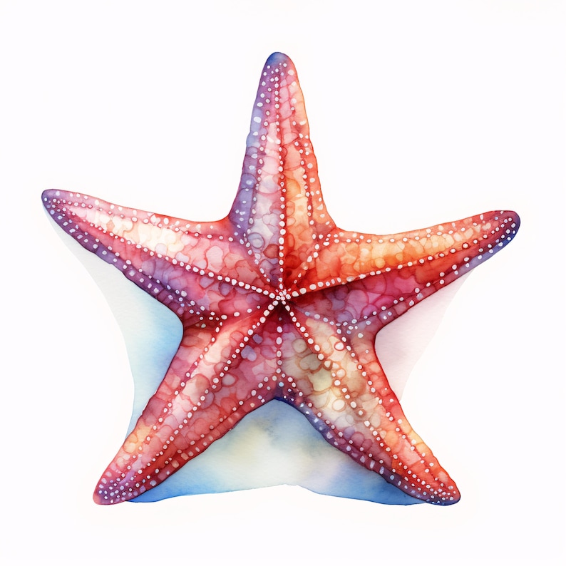 Starfish Clipart, Ocean Sea Life Images, 10 Watercolor Clip Art ...