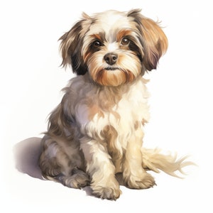 Lowchen Clipart, Little Lion Dog Images, 10 Watercolor Clip Art ...