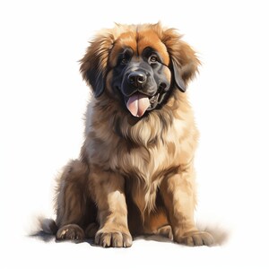 Leonberger Clipart, Leonberger Dog Images, 10 Watercolor Clip Art ...