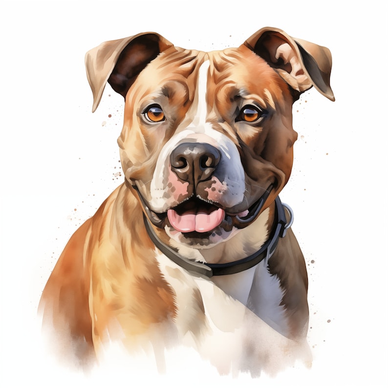 Amstaff Dog Clipart, American Staffordshire Terrier Images, 10 ...