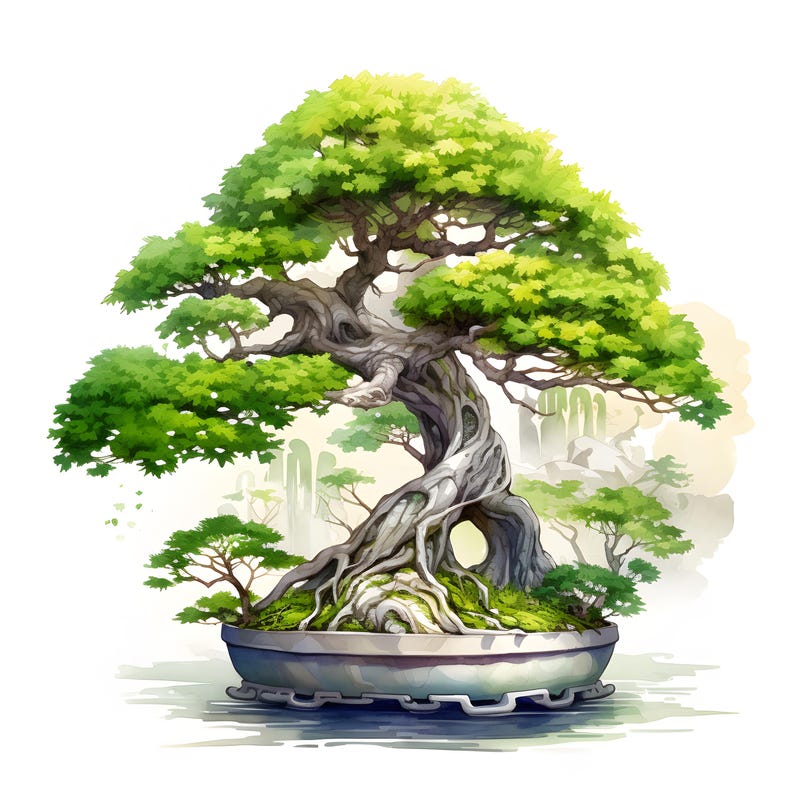 Watercolor Bonsai Tree Clipart: Botanical Art Prints (JPG Digital ...