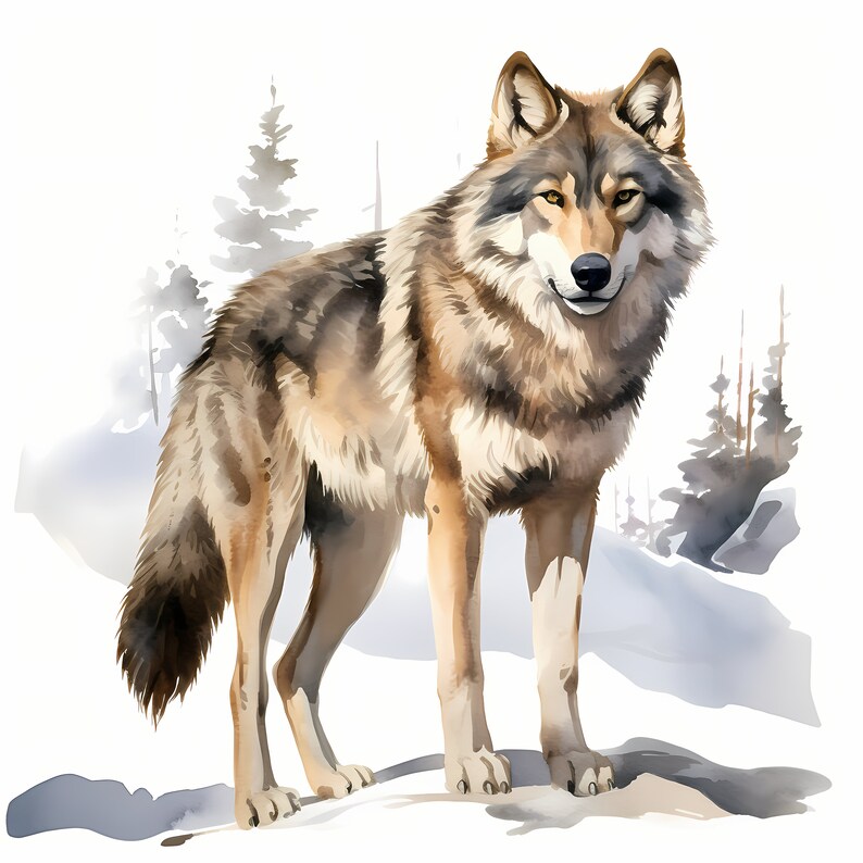 Winter Wolf Clipart, Wolves in Winter Images, 10 Watercolor Clip Art ...
