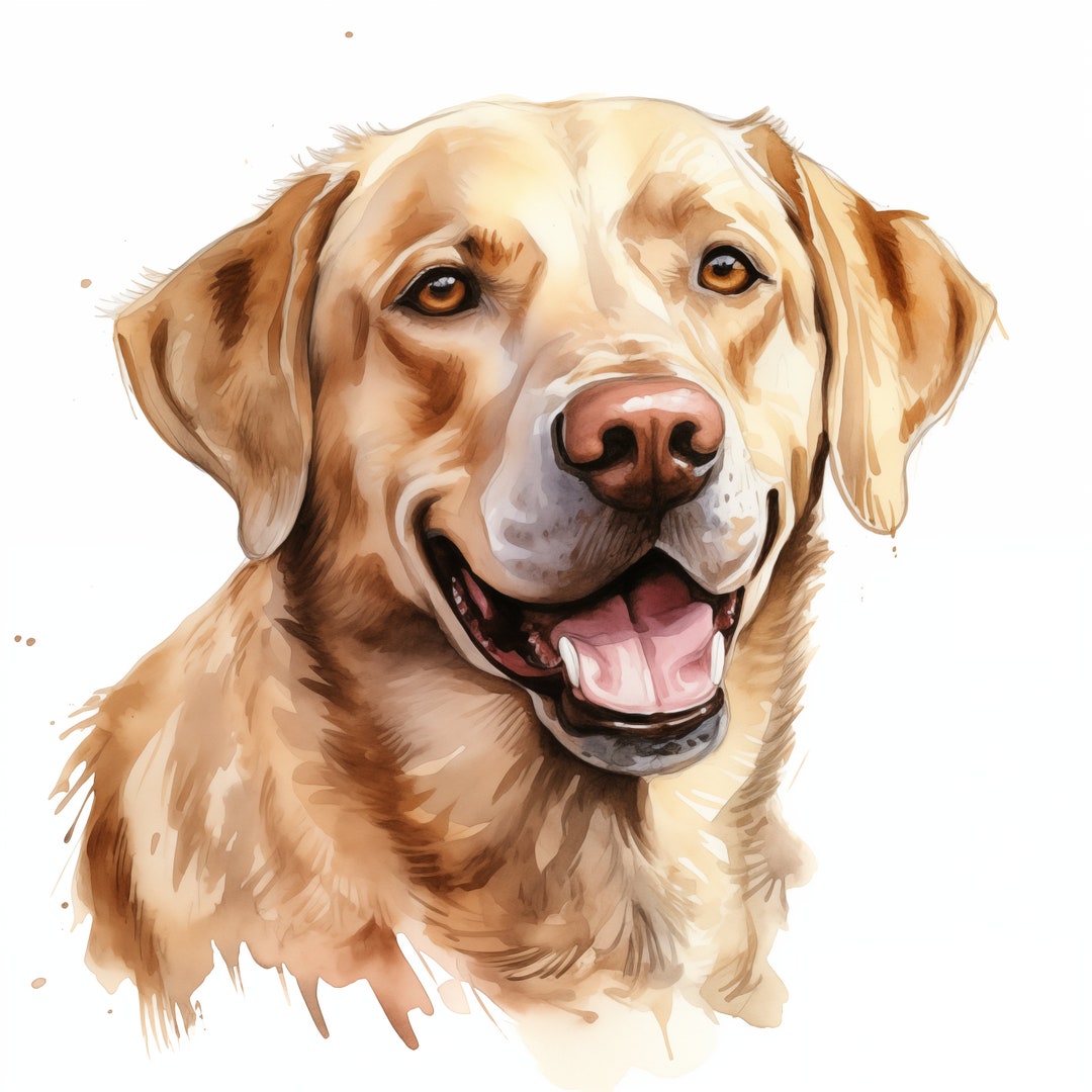 Watercolor Labrador Retriever Clipart: 10 Dog Images (commercial Use ...