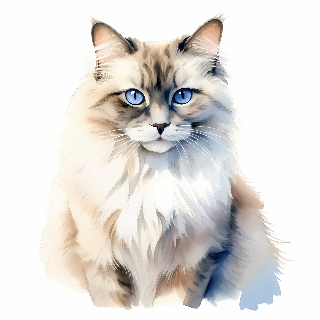 Ragdoll Cat Clipart, Ragdoll Cat Images, 10 Watercolor Clip Art ...