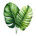 Tropical Leaves Clipart, Green Leaves Images, 10 Watercolor Clip Art ...