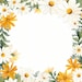 Daisy Frame Clipart, Daisy Flower Border Images, 10 Watercolor Clip Art ...