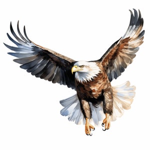 Watercolor Bald Eagle Clipart: Printable JPG Images (commercial Use) - Etsy