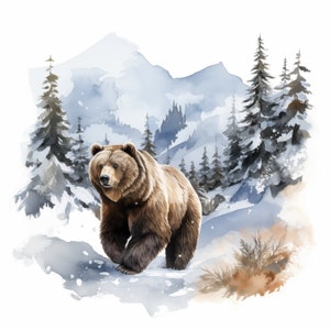 13 Brown Bear, Bear in Winter Clipart, Watercolor Clipart, High Quality ...