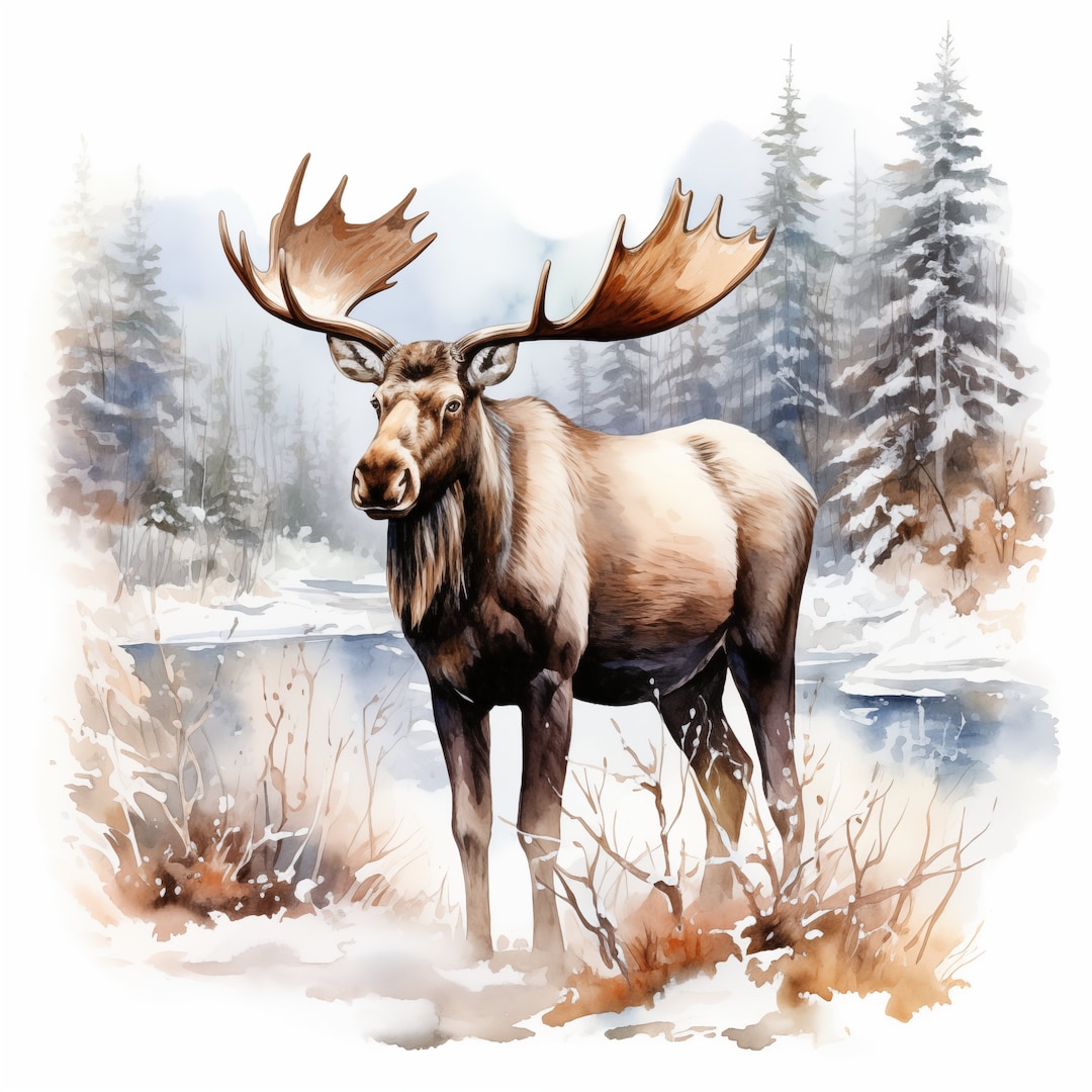 Moose Clipart, Moose in Winter Images, 12 Watercolor Clip Art ...
