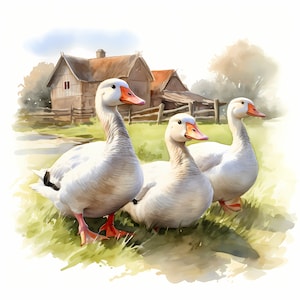 Goose Clipart, Farm Geese Images, 10 Watercolor Clip Art, Printable ...