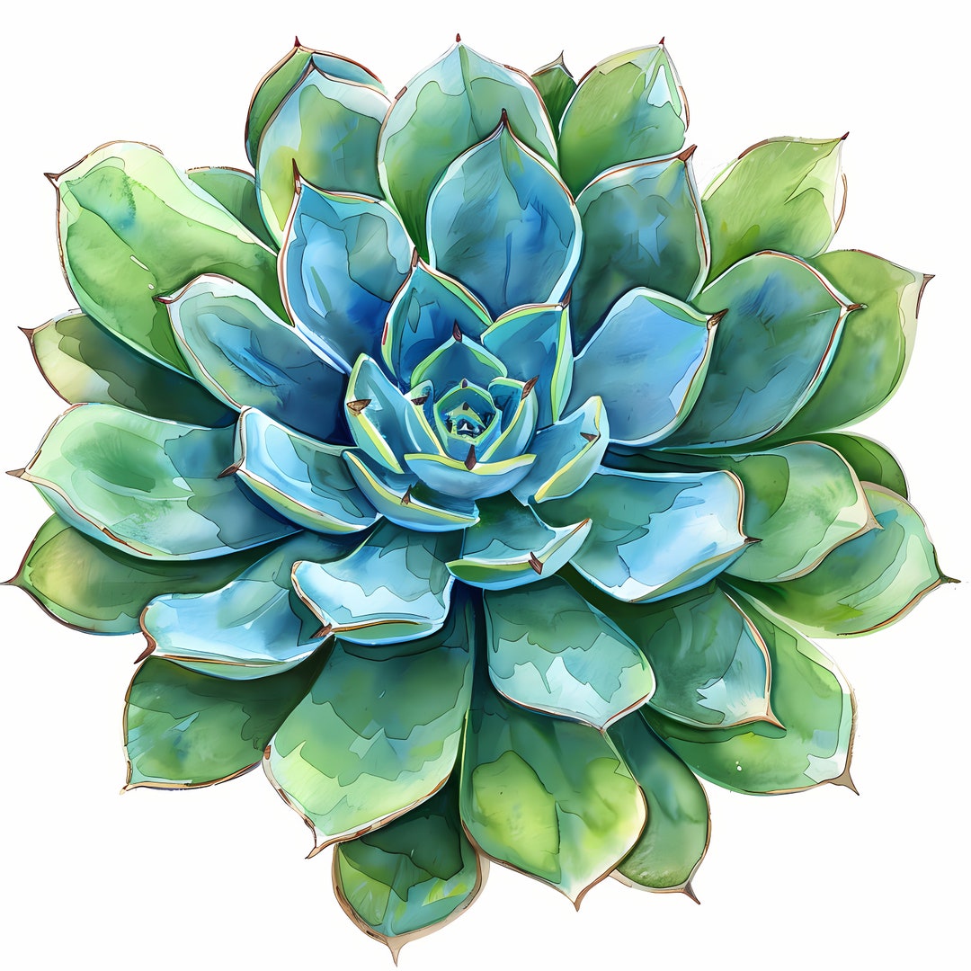 Succulent Clipart, Cactus Succulents Images, 10 Watercolor Clip Art ...
