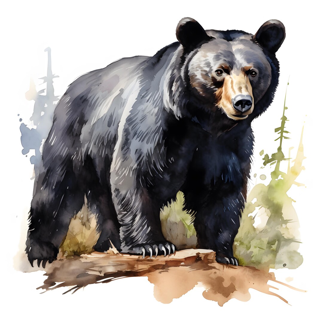 Black Bear Clipart, Forest Bears Images, 10 Watercolor Clip Art ...