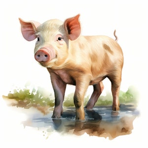 Farmyard Pig Clipart, Farm Pig Images, 10 Watercolor Clip Art ...
