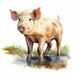 Farmyard Pig Clipart, Farm Pig Images, 10 Watercolor Clip Art ...
