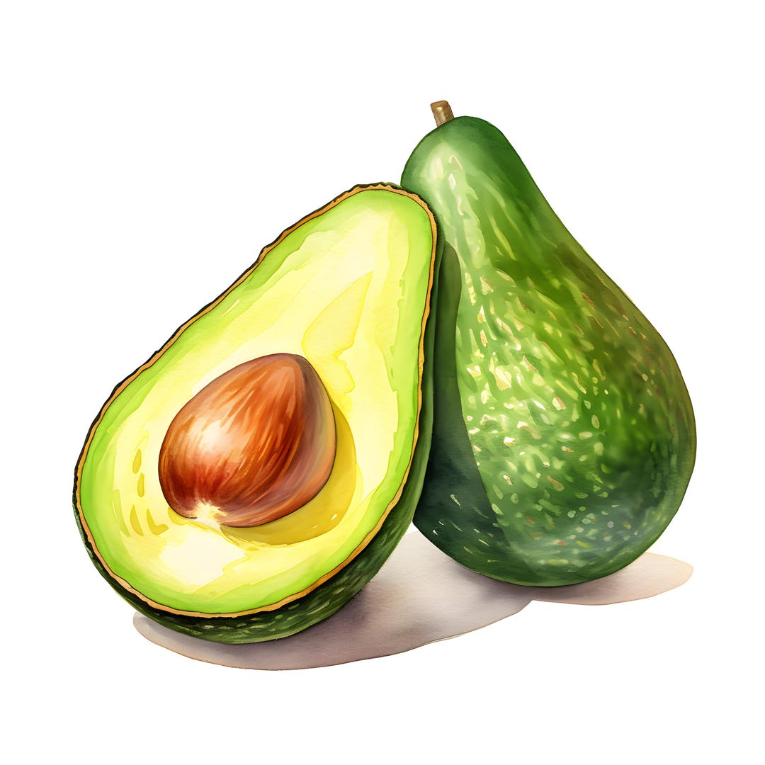 Avocado Clipart, Avocado Images, 10 Watercolor Clip Art, Printable Jpgs ...