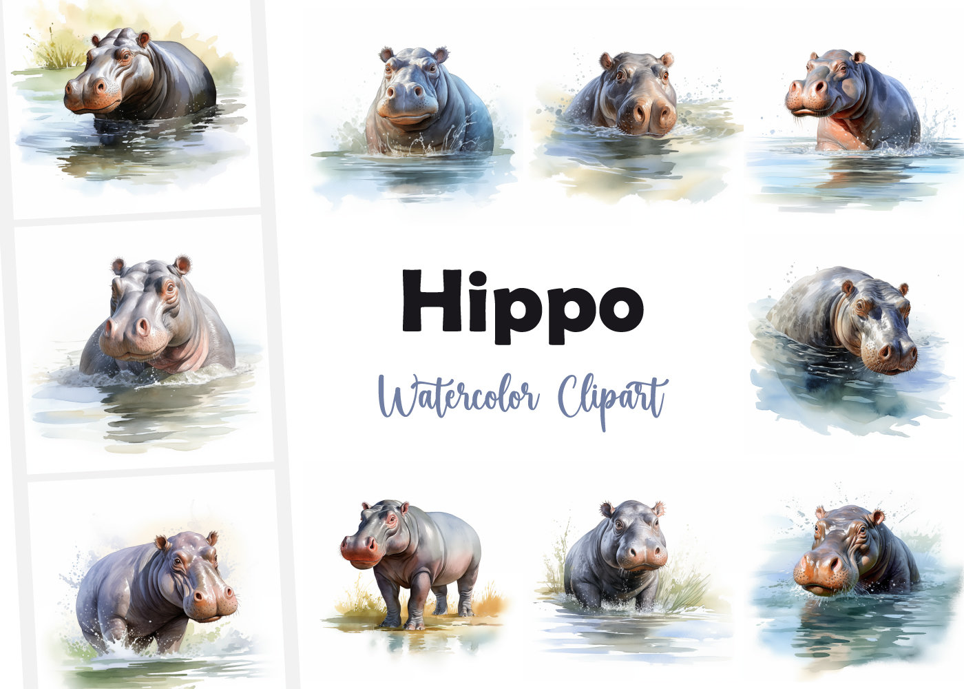 Hippo Clipart, Hippopotamus Images, 10 Watercolor Clip Art, Printable ...