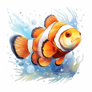 Clownfish Clipart, Clown Fishes Images, 10 Watercolor Clip Art ...