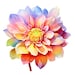 Rainbow Flower Clipart, Colored Flowers Images, 10 Watercolor Clip Art ...