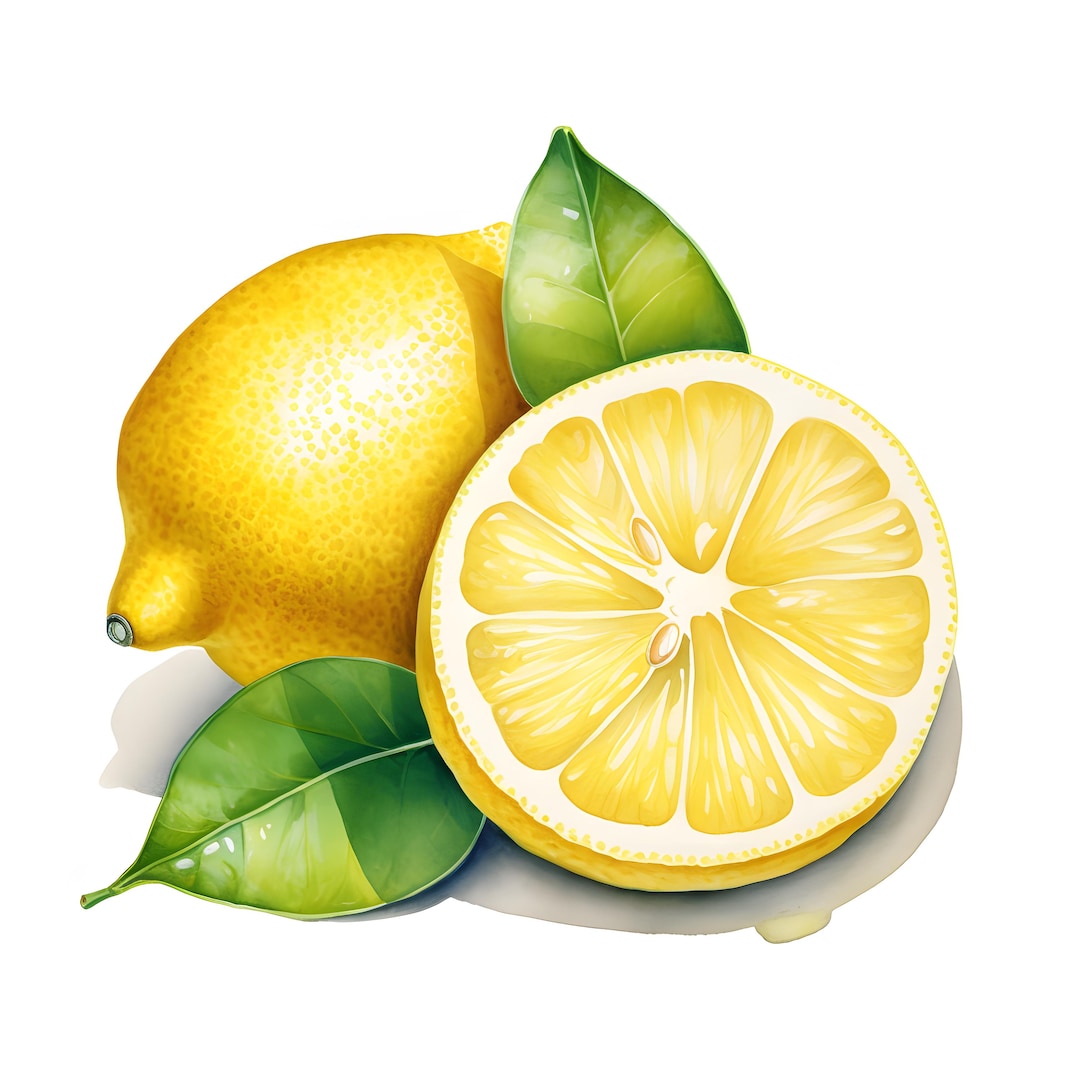 Lemon Clipart, Lemon Cut Images, 10 Watercolor Clip Art, Printable Jpgs ...