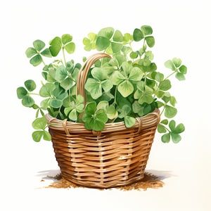 Shamrock Basket Clipart, Four Leaf Clover Images, 10 Watercolor Clip ...