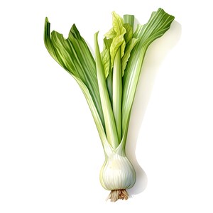 Leek Clipart, Garden Leek Images, 10 Watercolor Clip Art, Printable ...