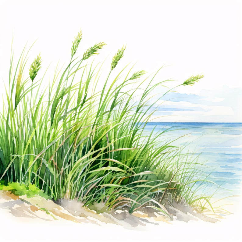 Watercolor Beach Grass Clipart: Coastal Landscape JPG Images ...