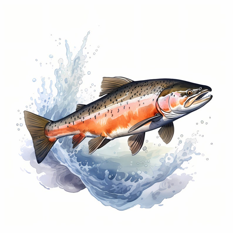 Salmon Clipart, King Salmon Fish Images, 10 Watercolor Clip Art ...
